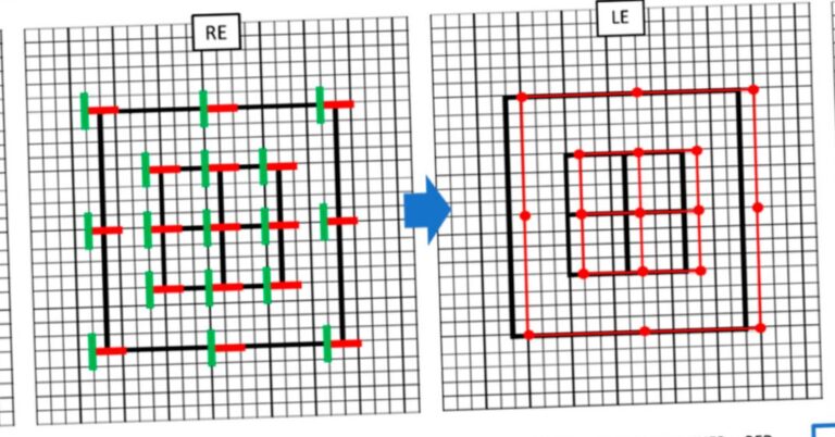 Teste de Lancaster Verde-Vermelho o que é e procedimento – Clínica ...
